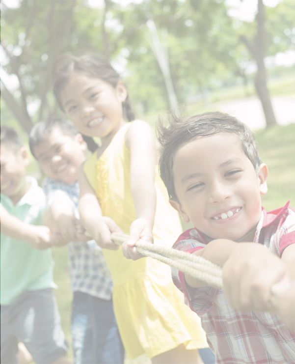 About | Community Safety Net